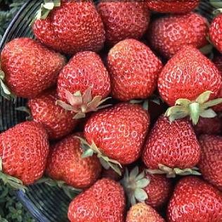 Tarjouksessa - FLOR verkkokauppa verkkokauppa