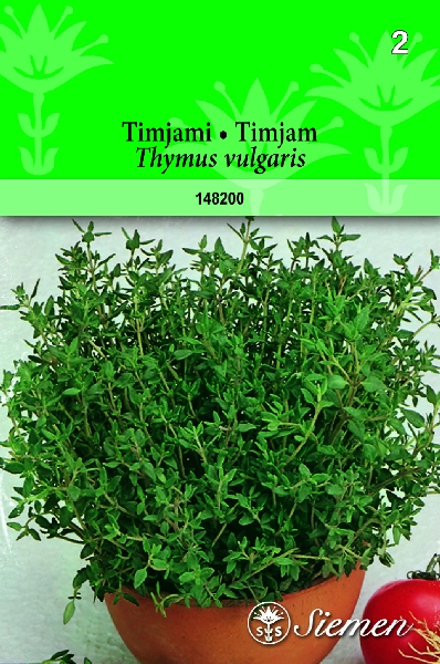 Timjami eli tarha-ajuruoho Thymus vulgare - FLOR verkkokauppa verkkokauppa