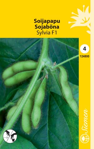 Soijapapu Sylvia F1 Glycine max - FLOR verkkokauppa verkkokauppa
